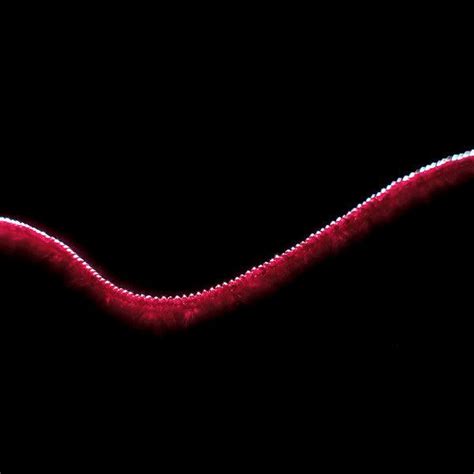 Ruby Healing Crystal Necklace For Opening Your Heart To Love Gemisphere