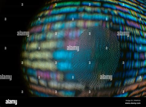 Nice Fingerprint On The Crumpled Background Of The Code Abstract Computer Script Code Software