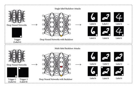 The Single Label And Multi Label Backdoor Attacks The Single Label