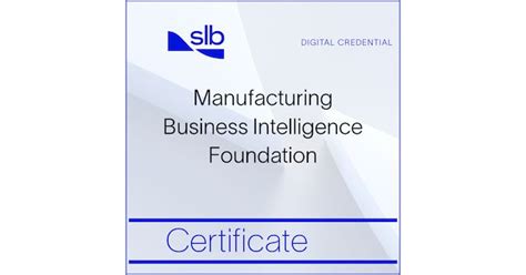 Mohamed Shameer M On Linkedin Manufacturing Business Intelligence Foundation Certificate Was