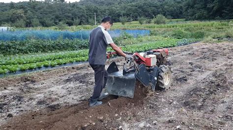 마늘심을곳 7가지 뿌리고 경운기로타리작업합니다 Youtube