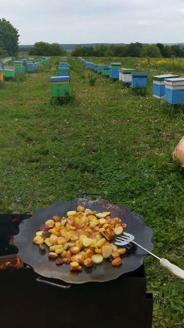 Картошка лучше чем в маке😊 Youtube