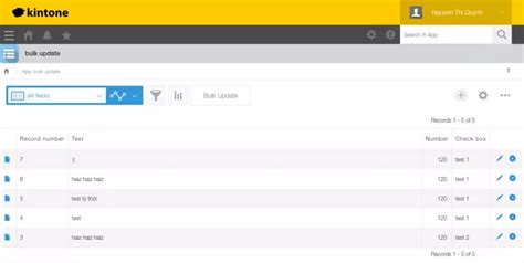 Kintone Plug In Bulk Update Plugin