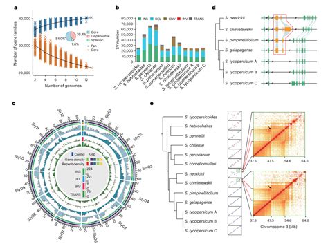 Nature Genetic 番茄超级泛基因组的多样性和结构变异栽培和野生基因组的结构变异 Csdn博客