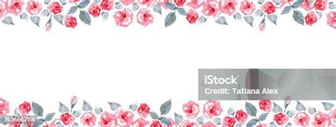 레드 클라이밍 로즈 Etoile De Hollande 페이스 북 커버 템플릿 광고 및 소셜 미디어를위한 웹 배너 디자인 수채화