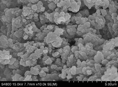 Sem Image Of Cao Catalyst Download Scientific Diagram