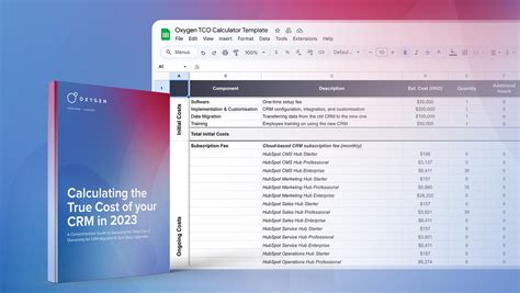 Total Cost Of Ownership For Your CRM Guide Template