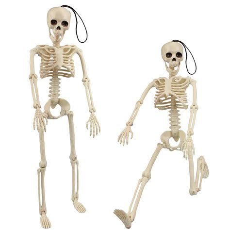 Memovan Mini Skeleton Model 16 Halloween Skeleton Small Full Body Desertcart Kuwait