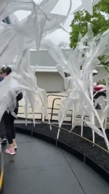 See Yield An Immersive Light And Sound Experience At Summerfest