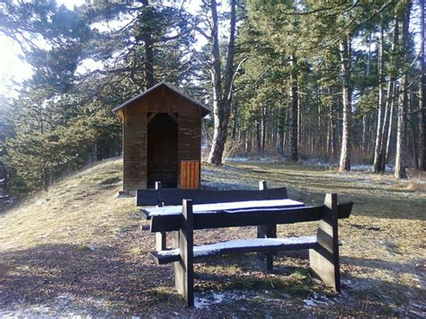 How To Get Free Account On Bait Bus