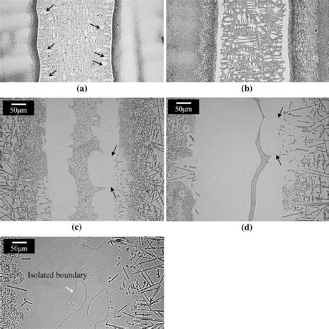 A L S Interface Morphology After Bonding For 5 Min Cellular Download Scientific Diagram