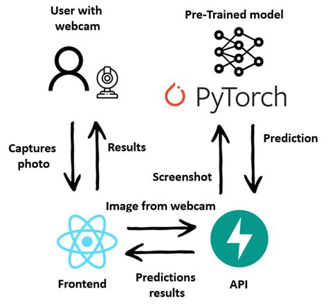 Gender Detection With Pytorch