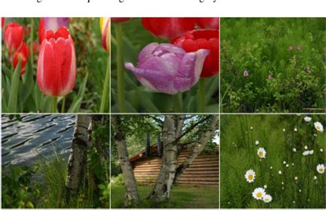 Figure 4 From Improving Cbir Accuracy Using Convolutional Neural Network For Feature Extraction