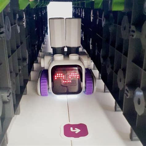 Robot Edek Zestaw 3 Remi Robot Edek Zestaw 3 Remi