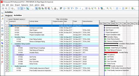Activity Codes In Primavera P6 Professional Ten Six