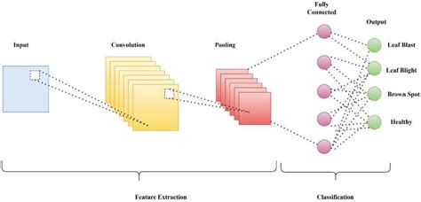 Figure 1 From Multiclass Classification Of Rice Leaf Disease Using Deep Learning Based Model