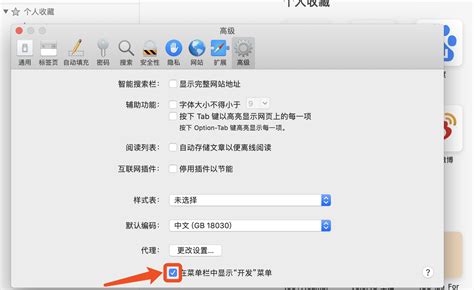 Safari浏览器自动化测试，python脚本控制自动化测试you Must Enable The Allow Remote