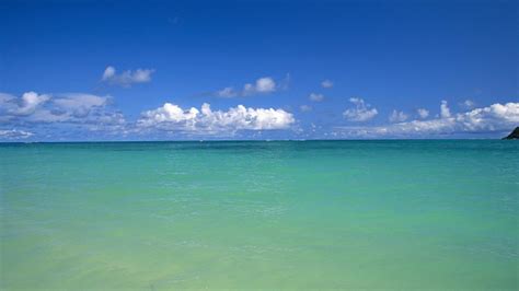 سەردەمانێک ڕەنگی ئۆقیانووسەکانی جیهان سەوز بوون