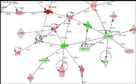 Image From Ingenuity Pathway Analysis Ingenuity®