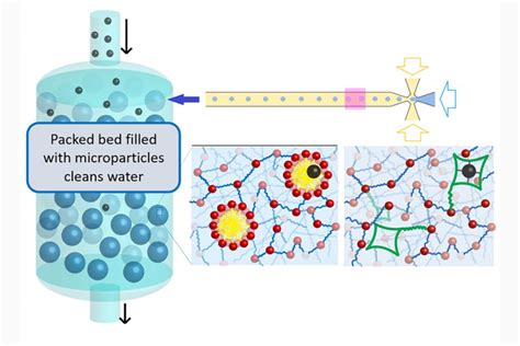 Sustainable Hydrogel Microparticles For The Removal Of Micropollutants