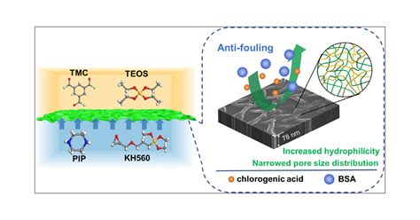 Enhancing The Antifouling Ability Of A Polyamide Nanofiltration Membrane By Narrowing The Pore