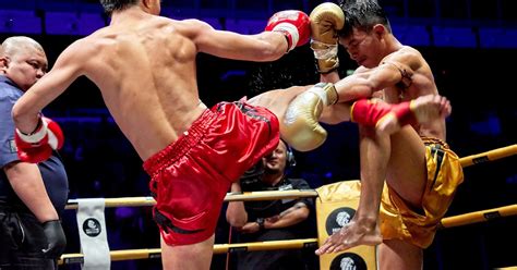 ROBIN WONG Shutter Speed ISO And Aperture Simplified