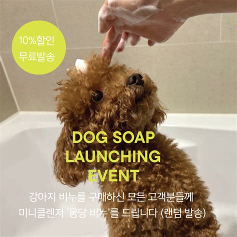 포레스트가닉 슬로우숲속라이프 I 무해로운 노바디버든 수개월의 개발 끝에 드디어 강아지 비누를 출시합니다 포레스트가닉만의 독자적인 성분을 함유하였습니다 강화 쌀로 빚은