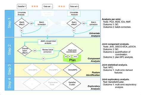 Workflow Diagram Of The Multi Omics Analysis Framework Download