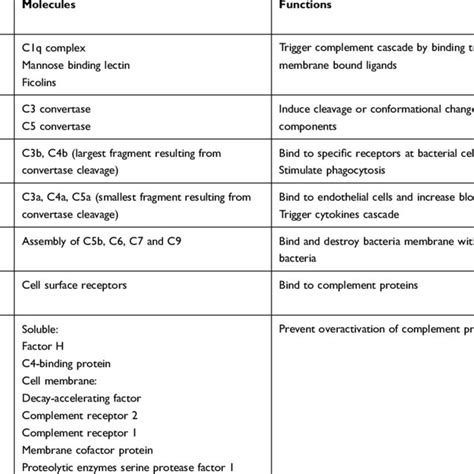 Functional Components Of The Complement System Download Scientific Diagram