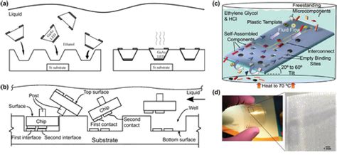Full Article Mass Transfer Strategies For Microled Chip Assembly Pick
