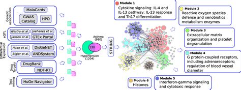 Identification And Characterization Of Gene Modules Associated With
