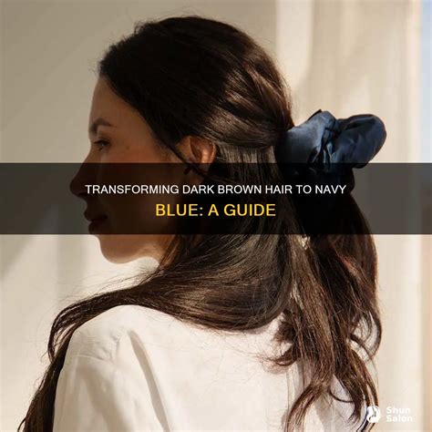 Transforming Dark Brown Hair To Navy Blue A Guide Shunsalon