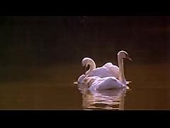 Jada Pinkett In Jason S Lyric Xxx Mobile Porno Videos Movies Iporntv Net