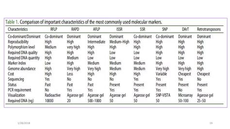Transposable Elements Ppt
