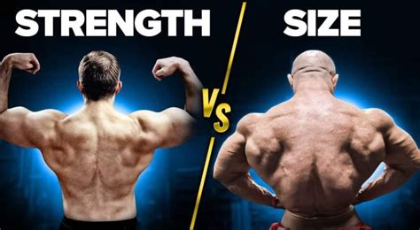Size Vs Strength What Really Matters