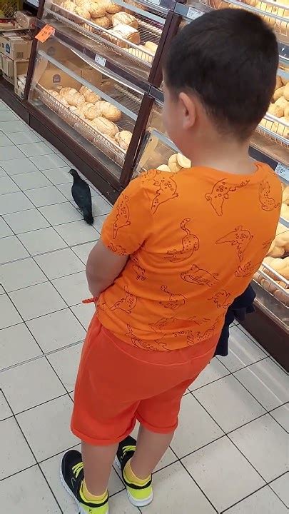 Удивительно Youtube