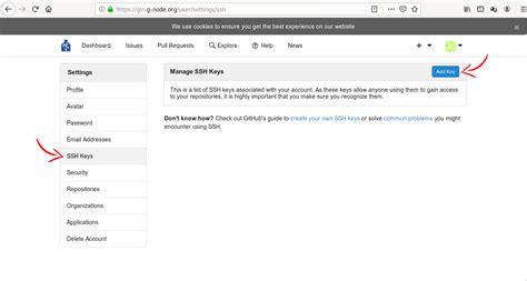8 6 walk through dataset hosting on gin — the datalad handbook