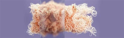 Machine Learning And Text Analysis For Document Processing