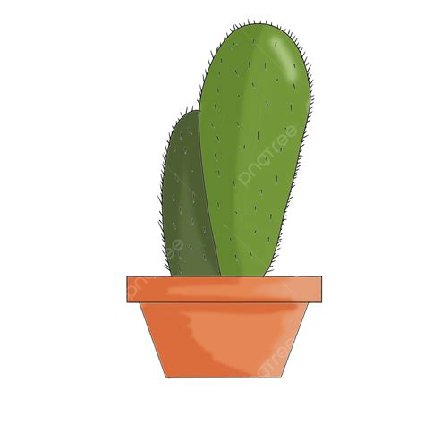 รายการ 105 ภาพพื้นหลัง กระบองเพชร การ์ตูน Png ครบถ้วน