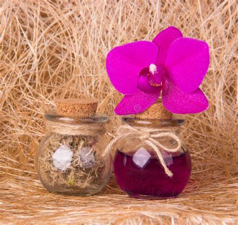 Pink Orchid Stock Image Image Of Liquid Elixir Recreation 72810757