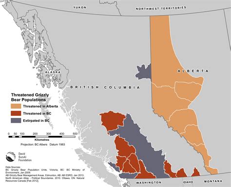 Big Bear Map