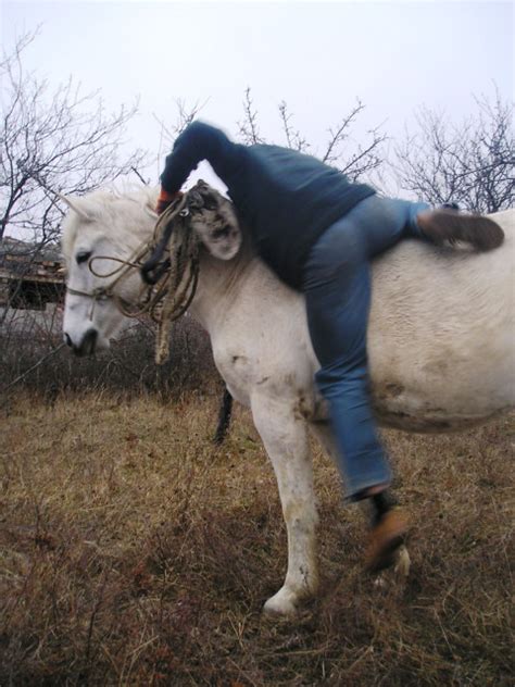 Сам себе инструктор по верховой езде