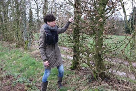 Rencontre Haies En Images Avec Les Haies Il Faut Oublier Ses