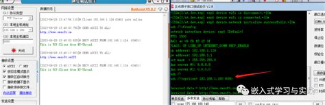 基于stm32单片机和esp8266（wifi模块）的tcp客户端测试 Csdn博客