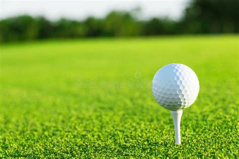 Golf Ball On Tee On Golf Course Over A Blurred Green Field At The