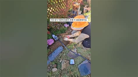 기와로 정원 정돈 완료 새 식구 앵두나무까지🍒 정원가꾸기 나무심기 기와 시골 시골집 Youtube