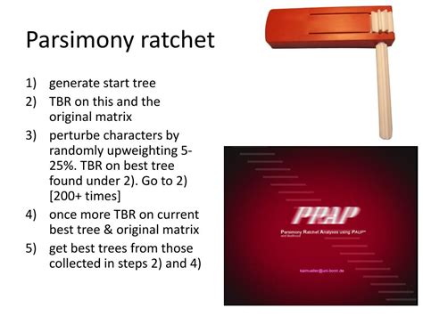 Ppt Maximum Parsimony Powerpoint Presentation Free Download Id2221980