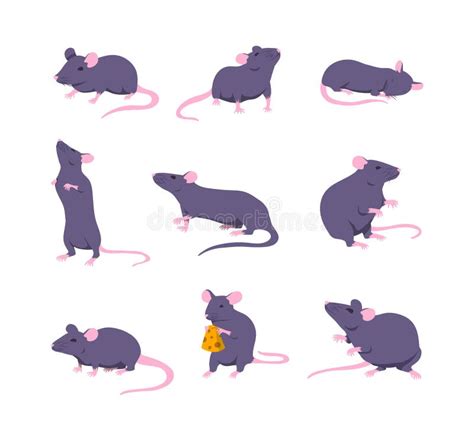 Cartoon Color Mouse And Rat Set Vector Stock Vector Illustration Of