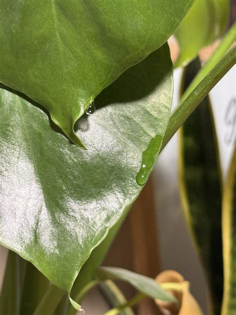 Carolina Gil Model Added A New Photo Carolina Gil Model