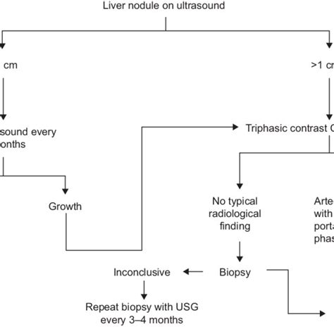 Algorithm For Diagnosis Of Single Liver Nodule Download Scientific Diagram